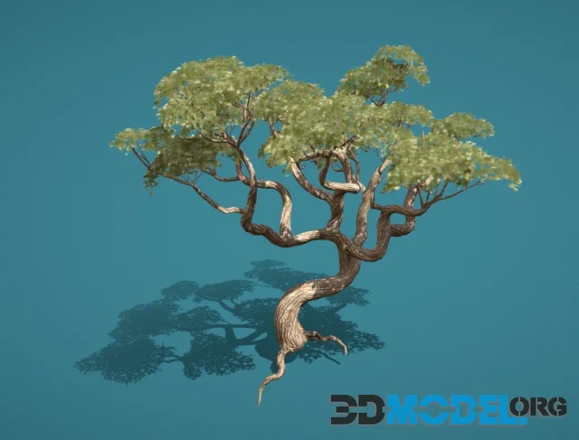 3D Model – Old Tree PBR