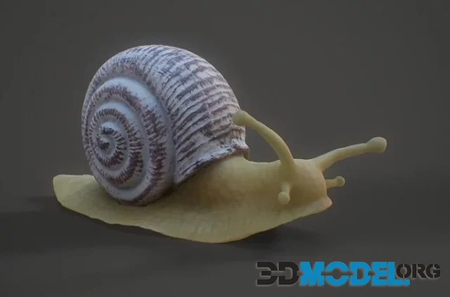 3D Model – Toy snail (PBR)