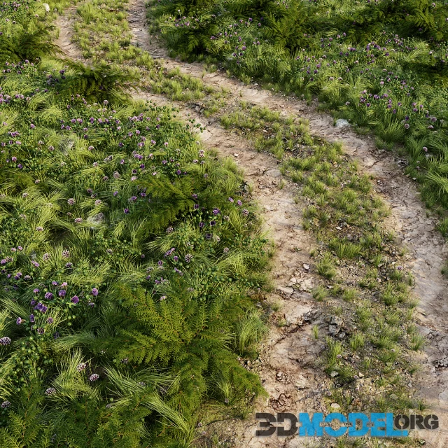 3D Model – Field road