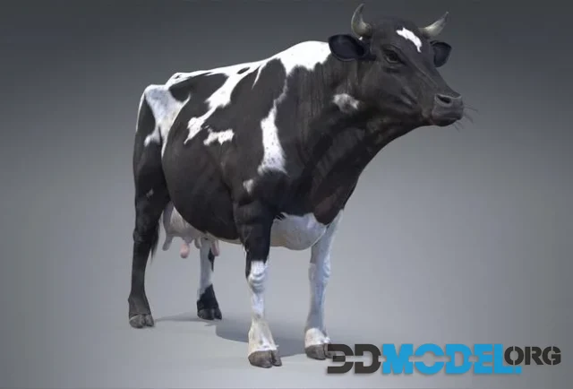 3D Model – generic cow (PBR)