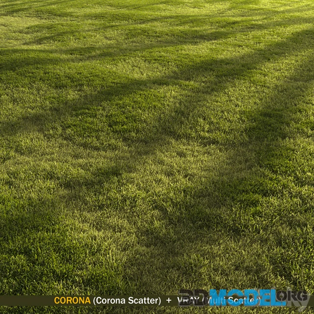 3D Model – Forest grass