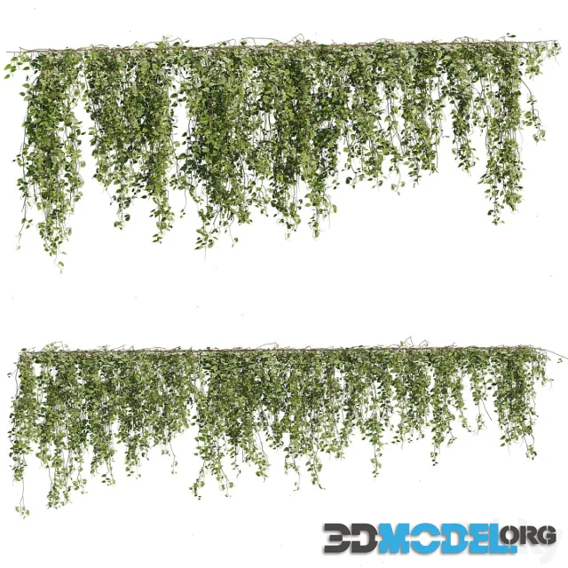 3D Model – Ivy Plants 05