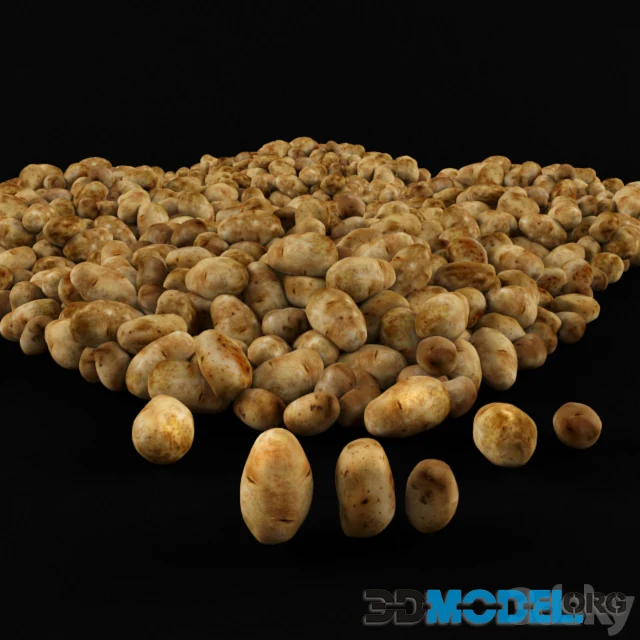 3D Model – Potato