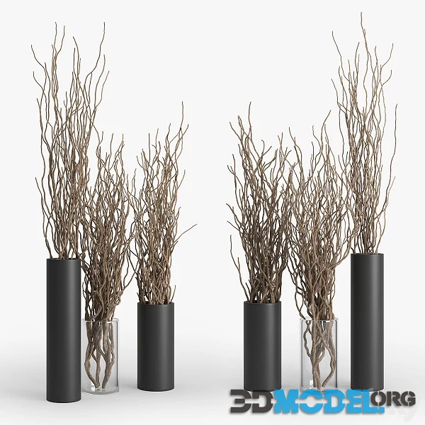 3D Model – Dry Branch