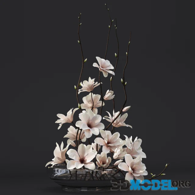 3D Model – Magnolia 3