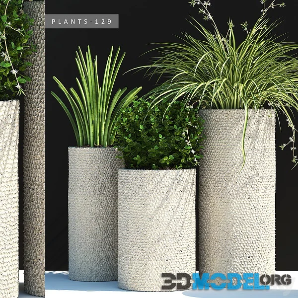 3D Model – PLANTS 129