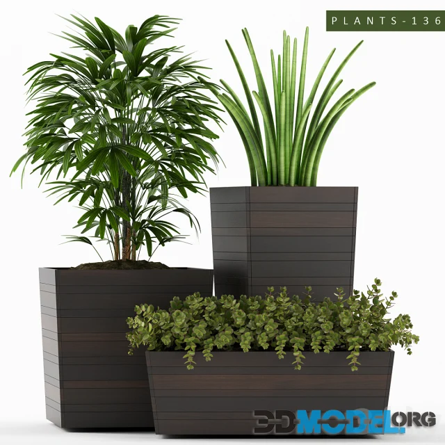 3D Model – PLANTS 136