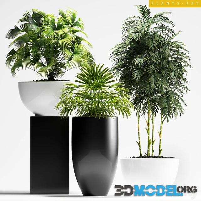 3D Model – PLANTS 195