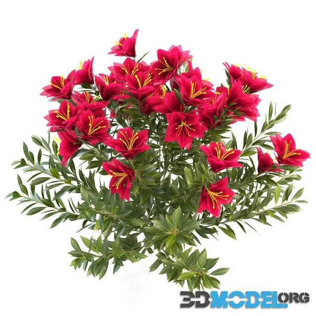 3D Model – Azalea garden