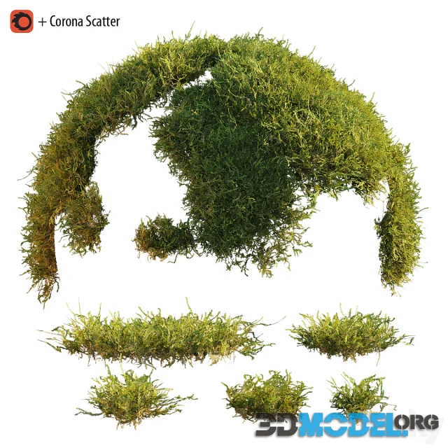 3D Model – Forest moss
