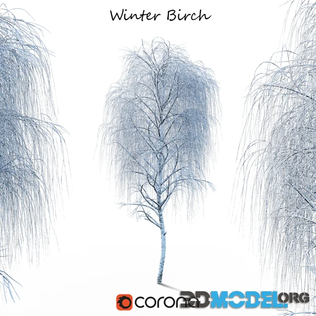 3D Model – Winter birch