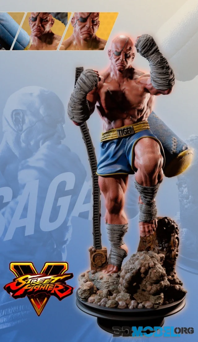 3D Model – Sagat – Printable