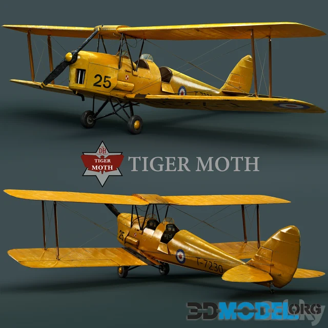 3D Model – Tiger moth
