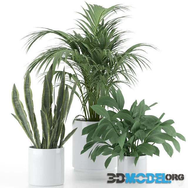 3D Model – Plant-Set-001