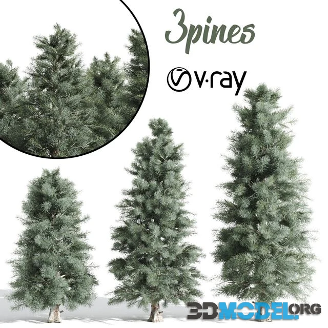 3D Model – 3 Pine tree