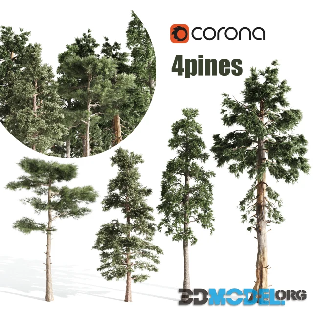 3D Model – 4 pines