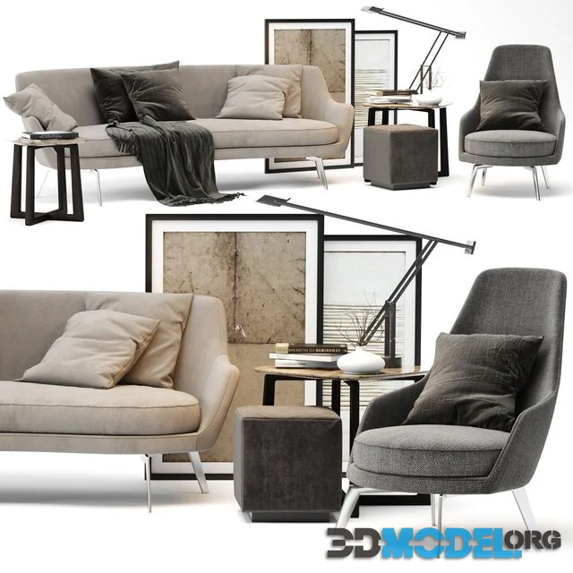 3D Model – Flexform guscio