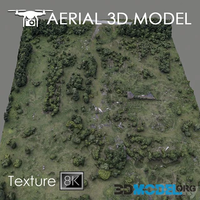 3D Model – Forest 60