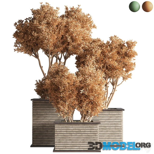 3D Model – Outdoor_Plants_tree_22