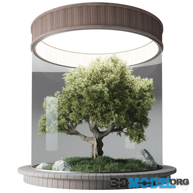 3D Model – Terrarium №3