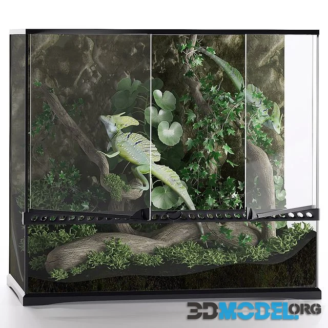 3D Model – Terrarium Basilisk