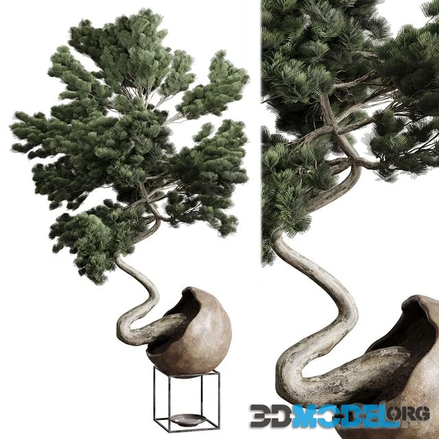 3D Model – Bonsai 01