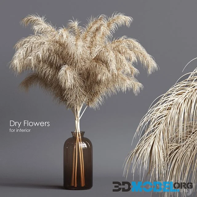 3D Model – Dry flowers 03