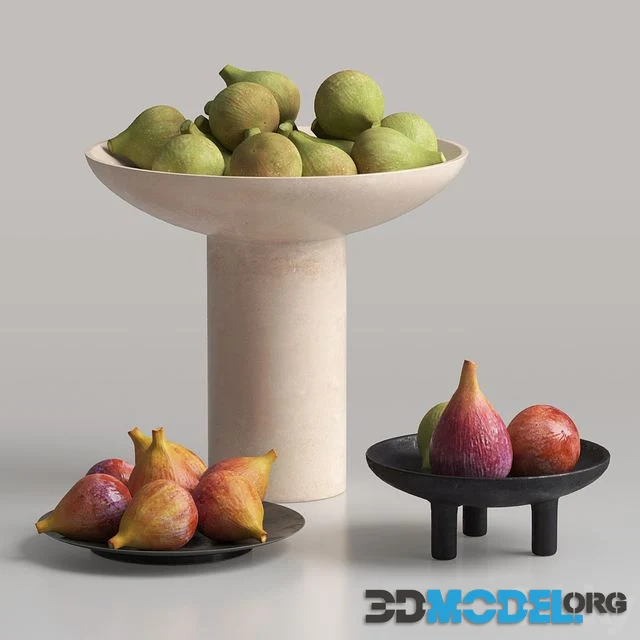3D Model – Fig set