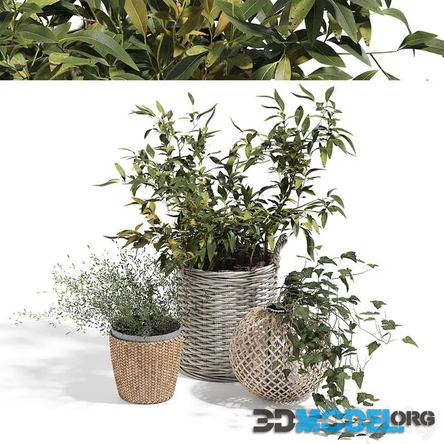 3D Model – Green set