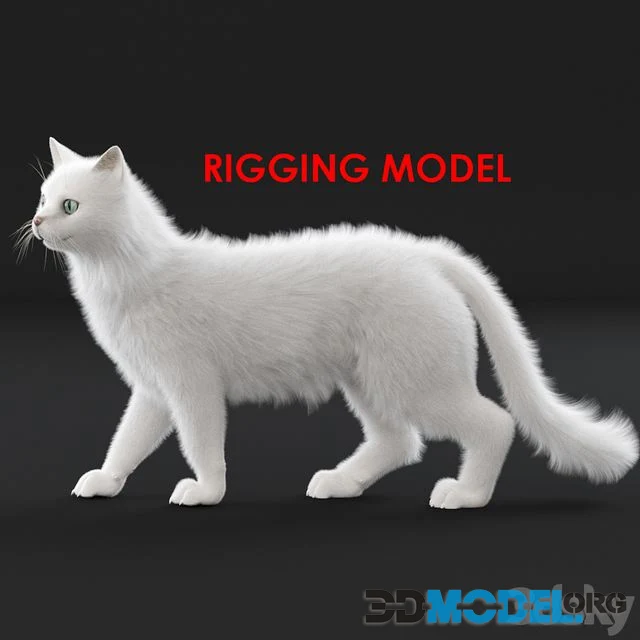 3D Model – White cat (rig)