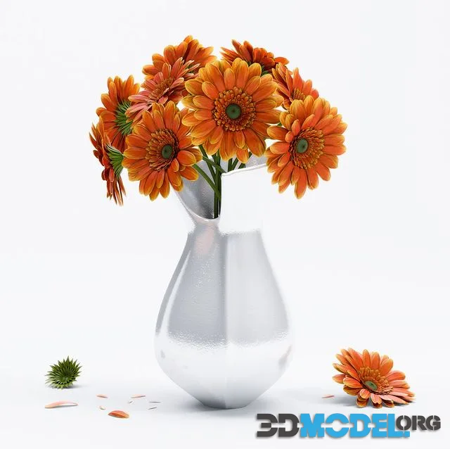 3D Model – Gerbera Flower