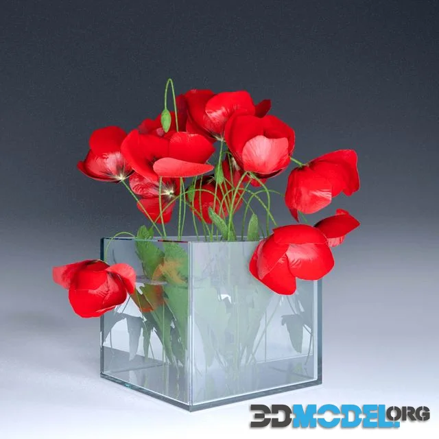 3D Model – Poppies