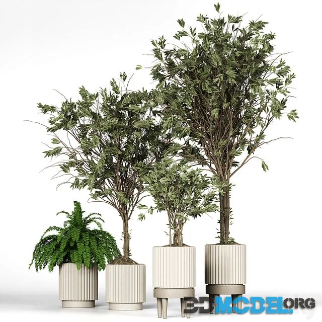 3D Model – Collection_plant_05