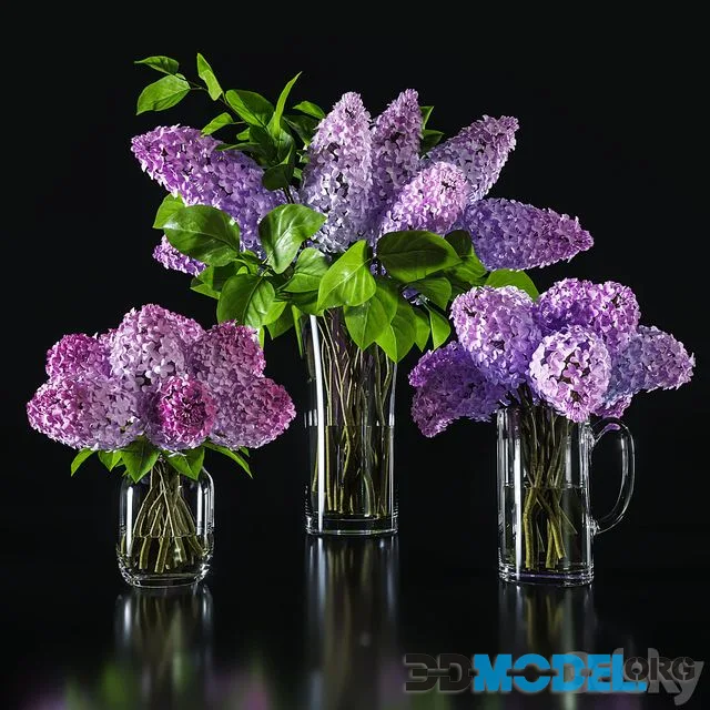 3D Model – Flower Set 004