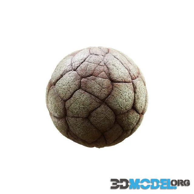 PBR Texture – Infected skin 62 48 4K