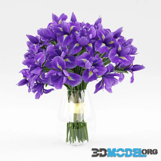 3D Model – Irises 1