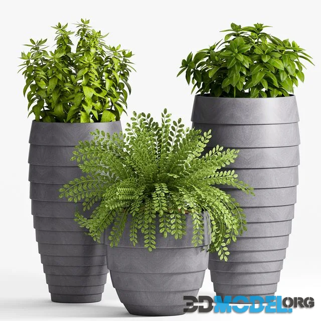3D Model – Plant Set -25