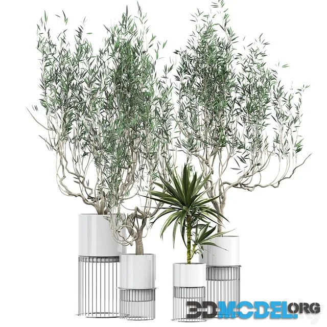 3D Model – Flower Pack 164