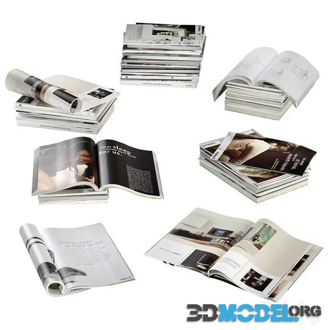 3D Model – Magazines