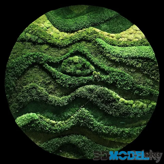 3D Model – Moss wall