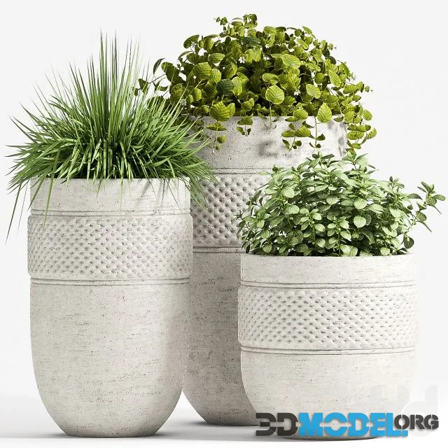 3D Model – PLANT SET - 67