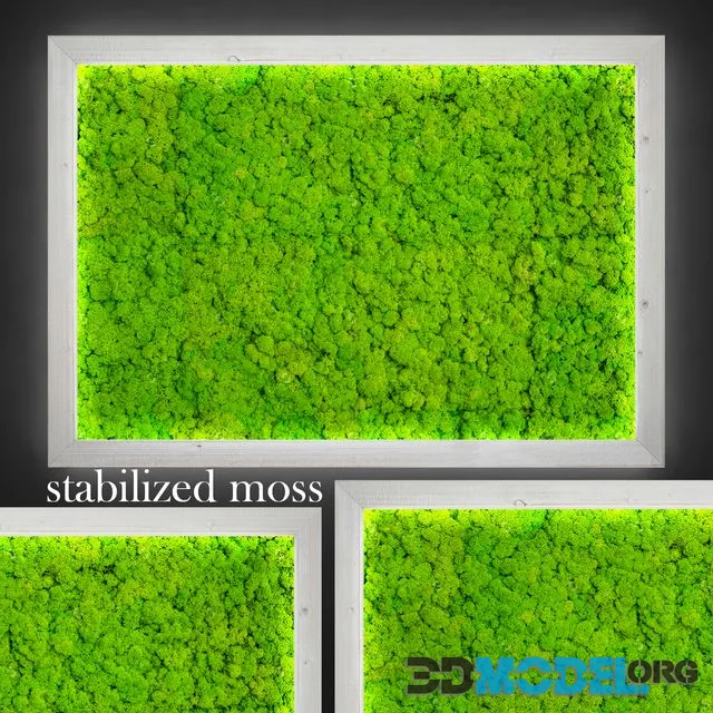 3D Model – Stabilized moss