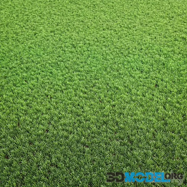 3D Model – Arch_grass 02