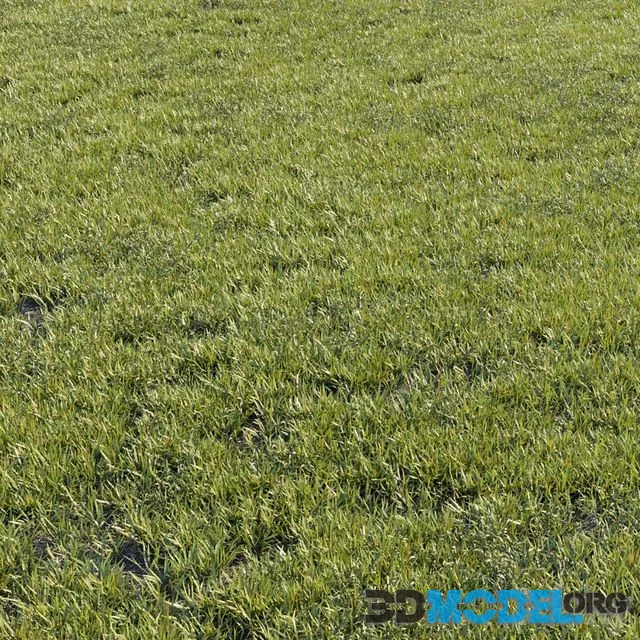 3D Model – Grass kit 1