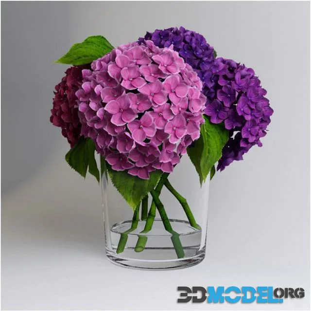 3D Model – Hydrangea