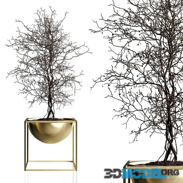 3d Model Branching Tree