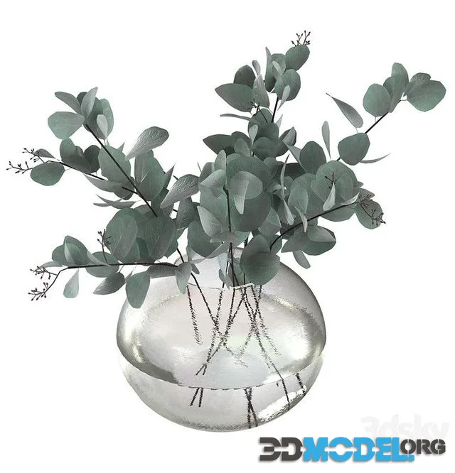 3D Model – Eucalyptus
