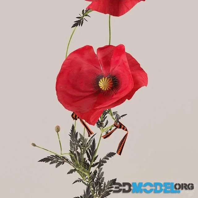 3D Model – Poppies (Poppies)