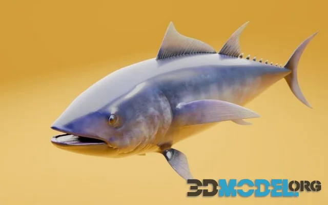 3D Model – Tuna fish