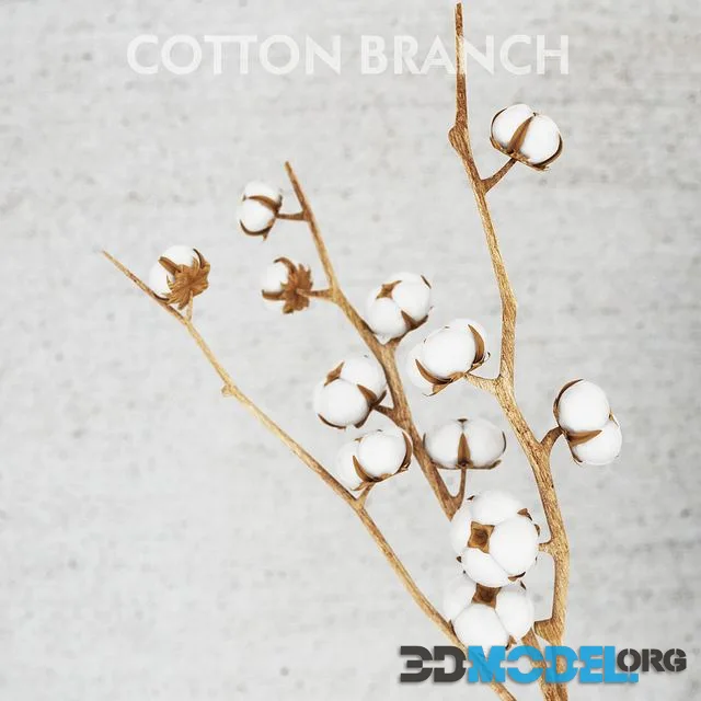 3D Model – cotton threads